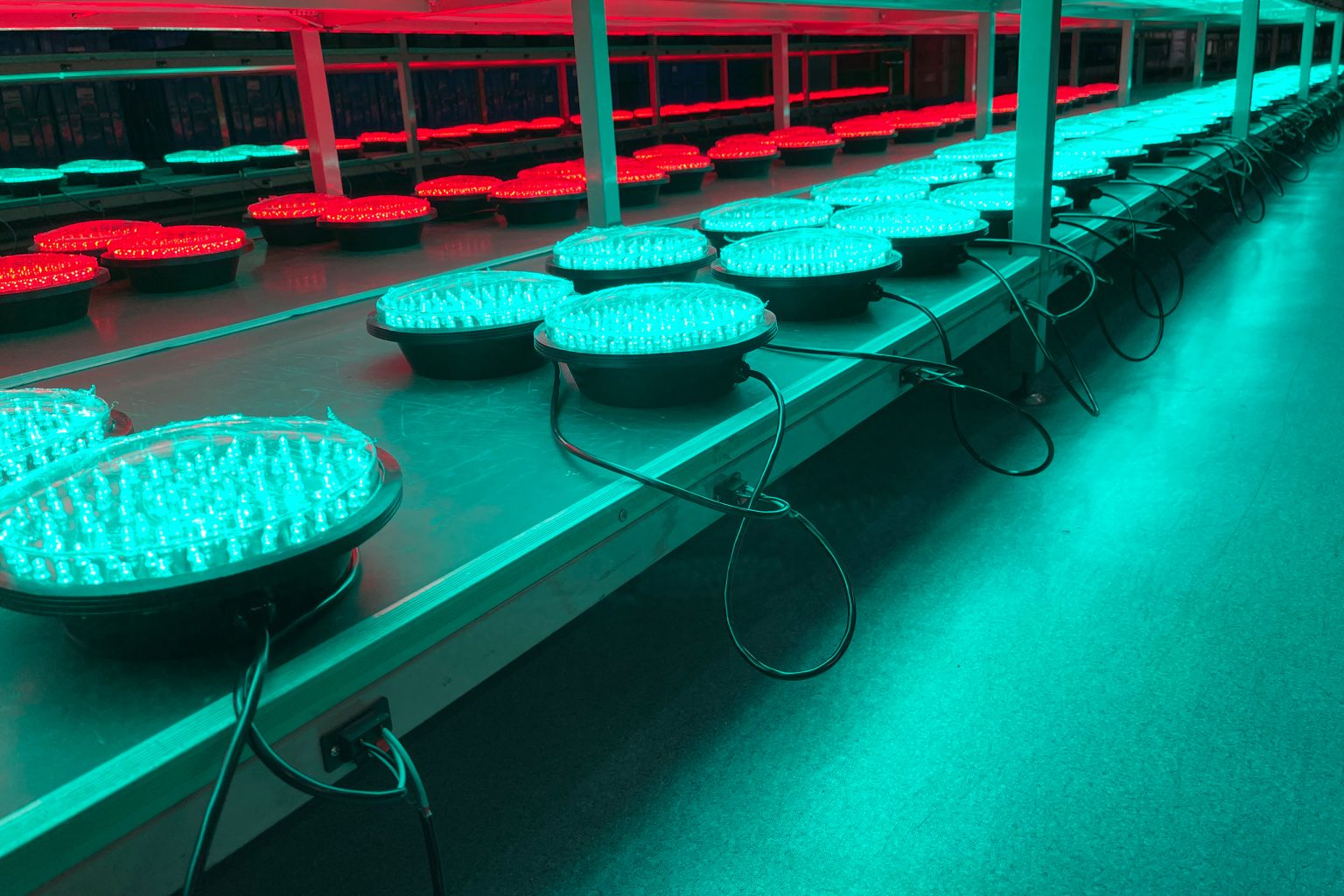 Lane Control Lights | Green Arrow Red Fork Traffic Lights