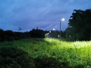 Different types of street lights and their applications | ZGSM