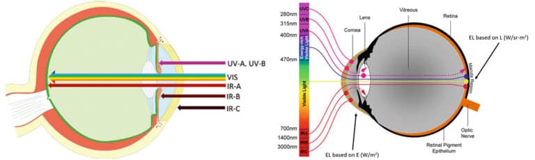 Photobiological safety of LED light | IEC 62471 | ZGSM